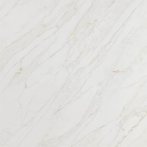 Calacatta Premata™ - Arlington Marble
